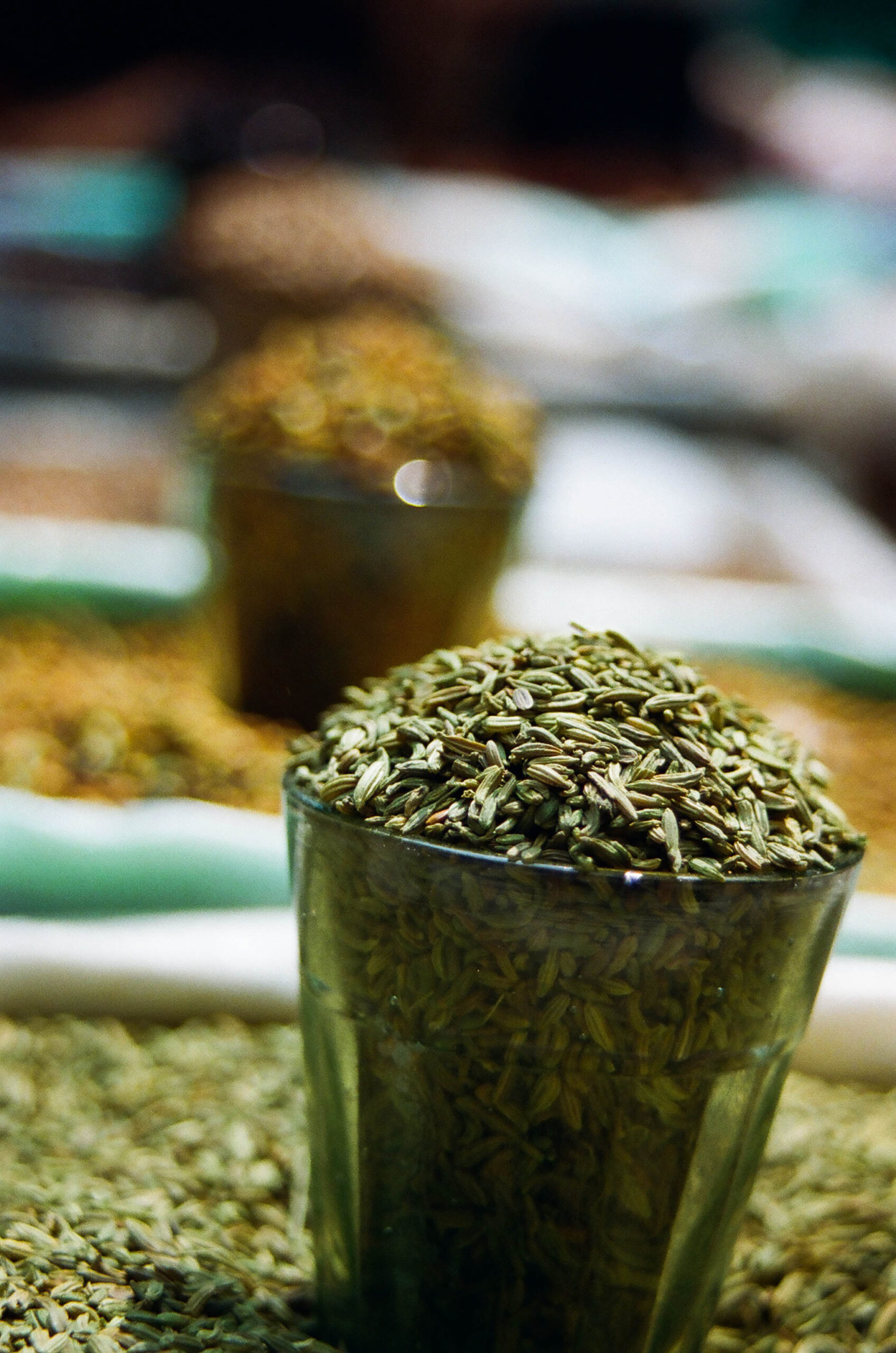 Saunf: Unveiling its Culinary and Medicinal Marvels - Charda Suuraj